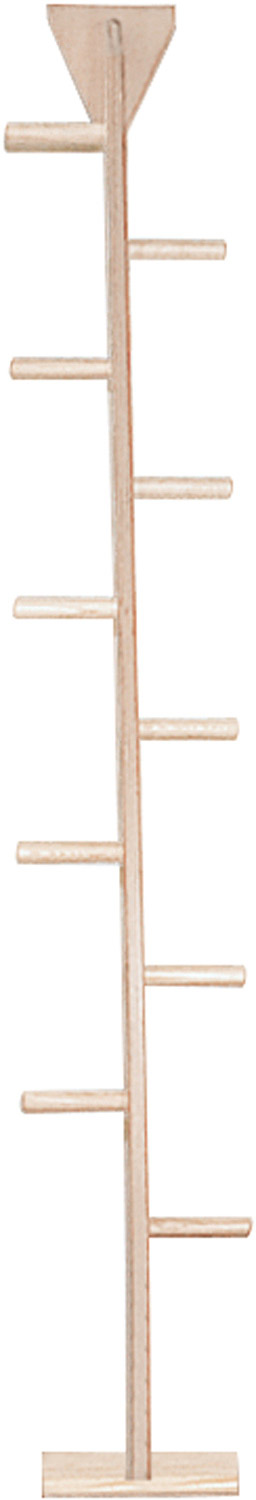 Sportprogramm Halbleiter | Dusyma